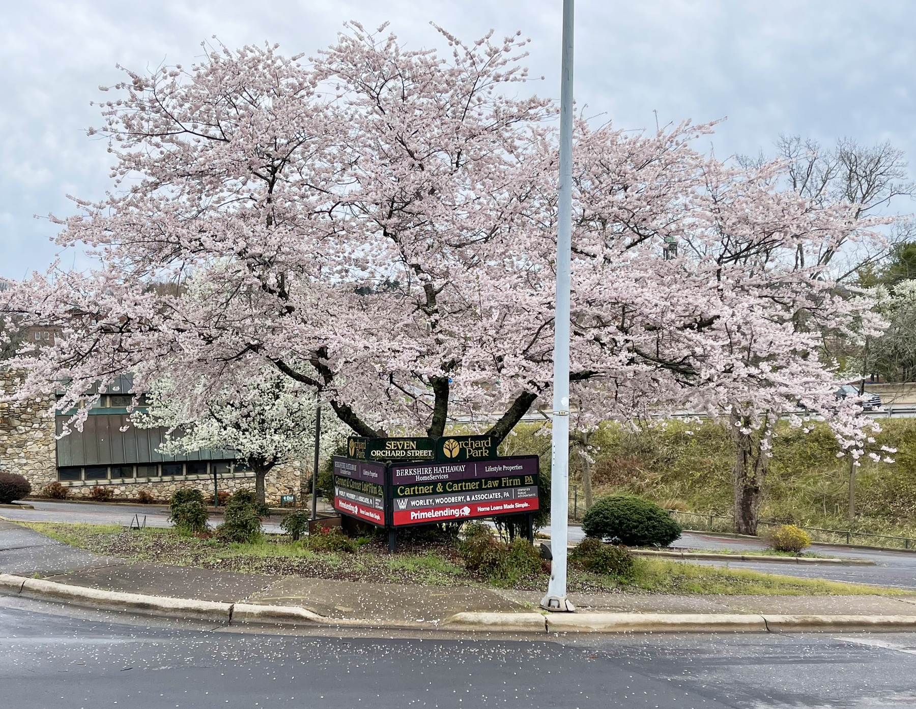 Cartner & Cartner Law Firm - Asheville, NC